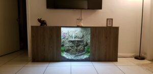 10 DIY Reptile Enclosure Plans For Pet Owners - Julie Ann Art