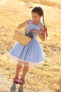 15 Easy DIY Dorothy Costume Ideas For Humble Girl Look - Julie Ann Art