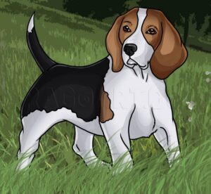 15 Easy Beagle Drawing Ideas For Kids To Draw - Julie Ann Art