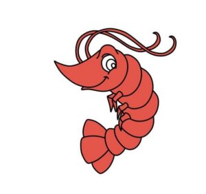 15 Shrimp Drawing Ideas For Marine Lovers - Julie Ann Art