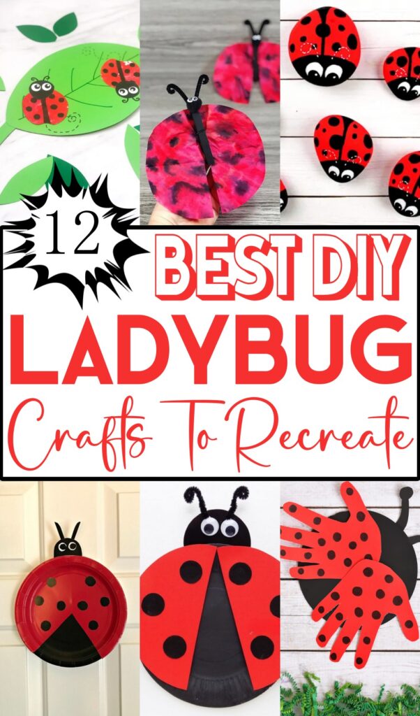 12 DIY Ladybug Crafts For Kids and Garden Lovers - Julie Ann Art
